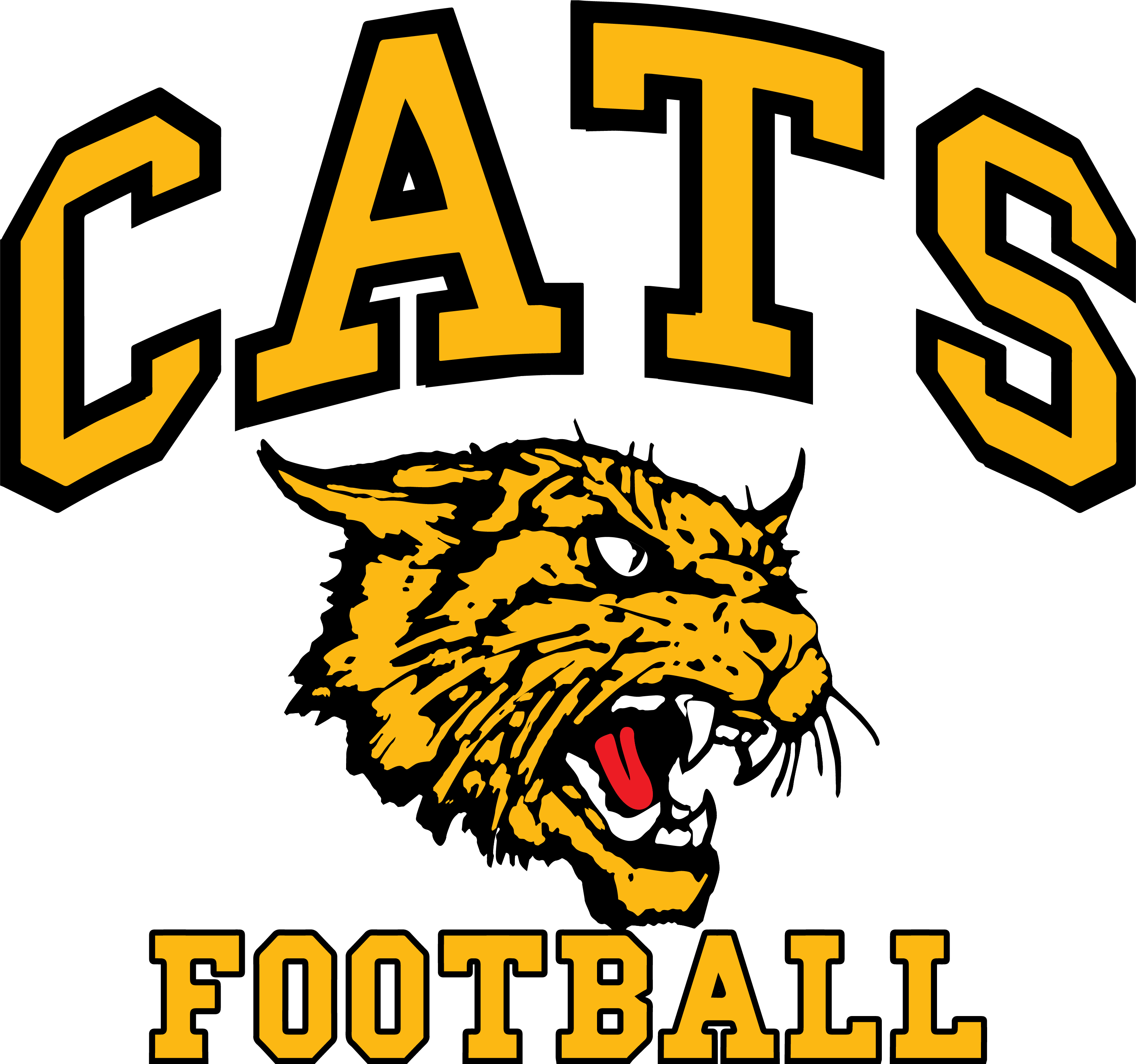 Cats Football LDMFA – Icon Merch